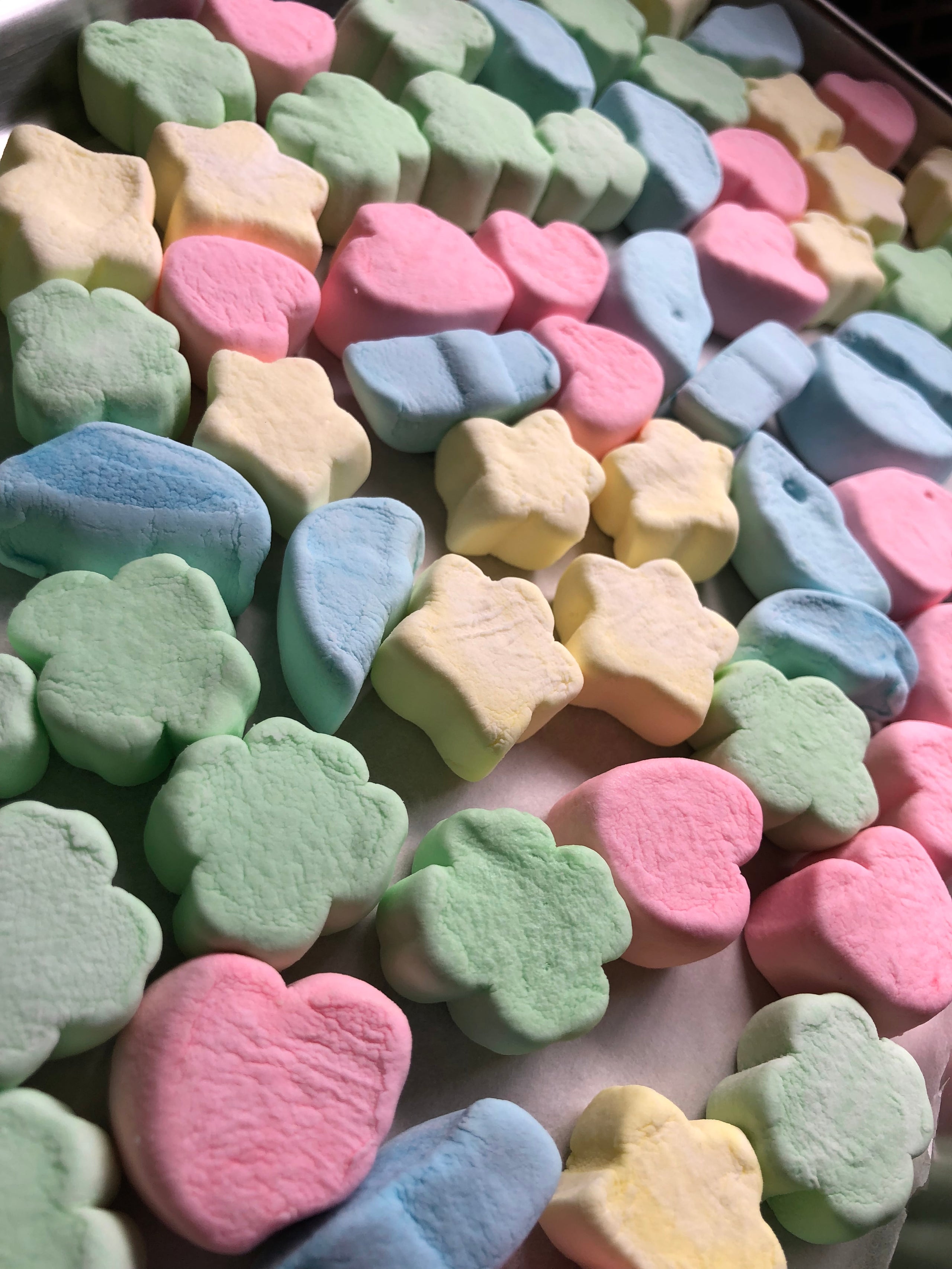 Freeze Dried Charms | Freeze Dried Bayou Bites